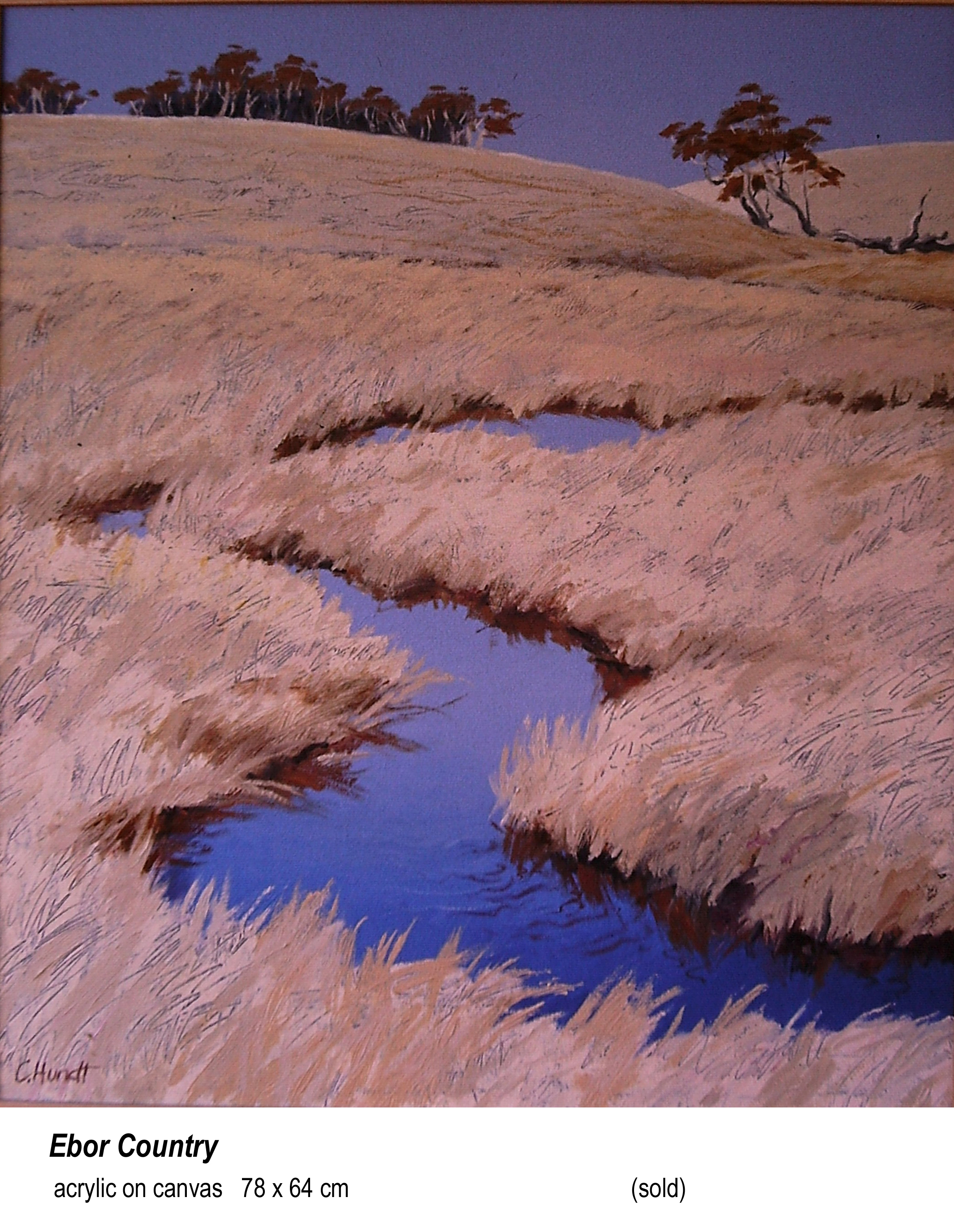 Paintings by Chris Hundt Australian Artist